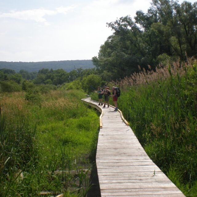 Appalachian Trail (AT) - Trail Runners Connection